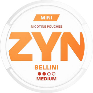 ZYN™ South Africa's Official Site: Tobacco-free Nicotine Pouches